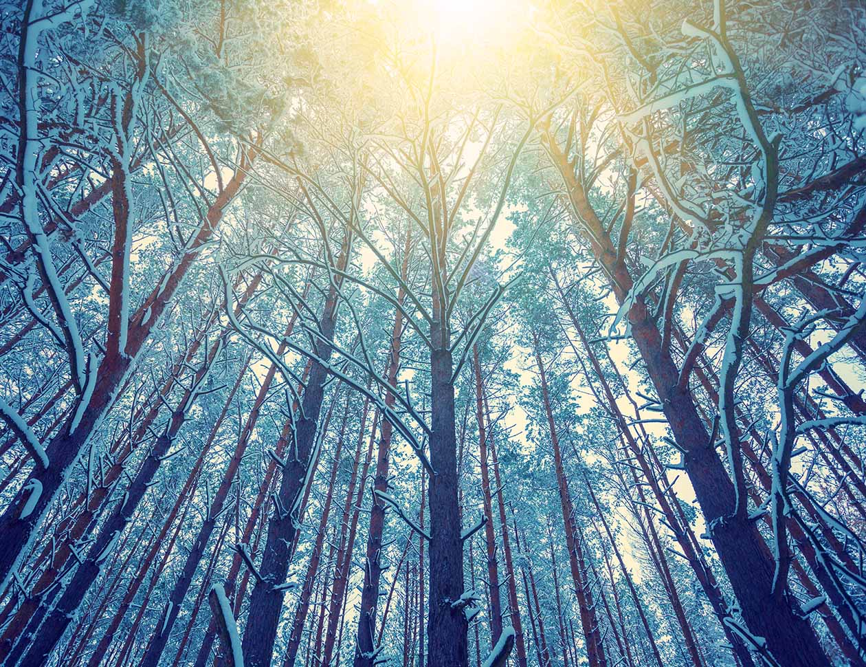 Domestic Equity Market Commentary – 4Q 2025 - GW&K Investment Management